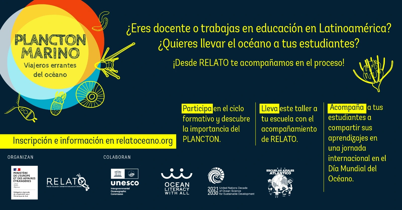 ¡Sumérgete en el fascinante mundo del Plancton Marino con RELATO y la ...